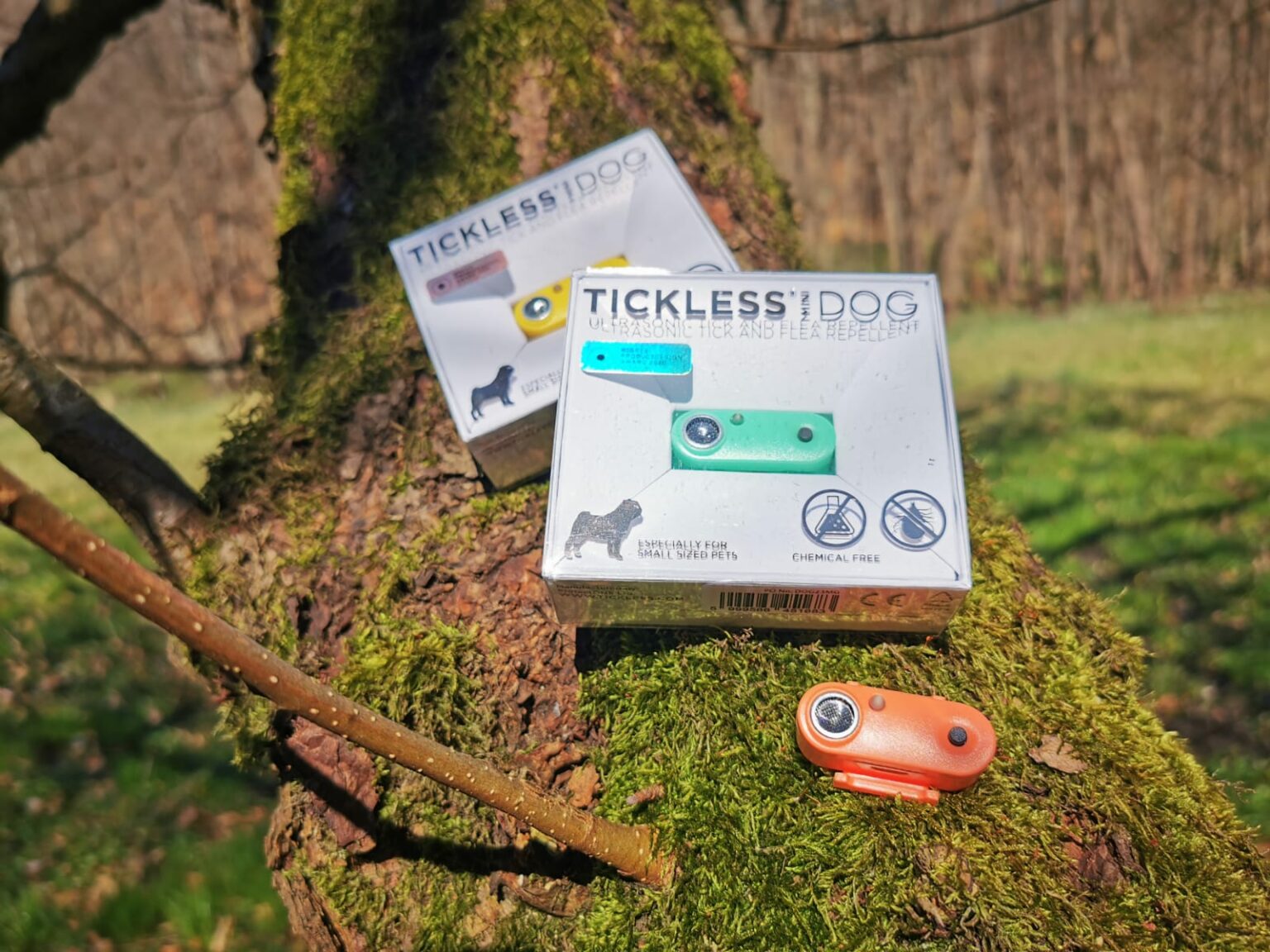 TICKLESS Pet Mini – recenzja nietoksycznego urządzenia dla psów przeciw kleszczom - Bieganie.pl